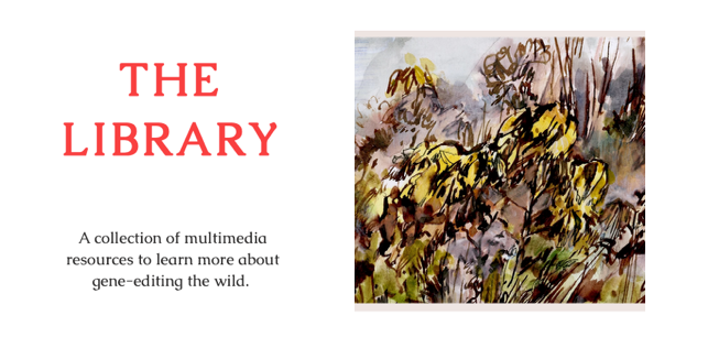 Library | Editing Nature