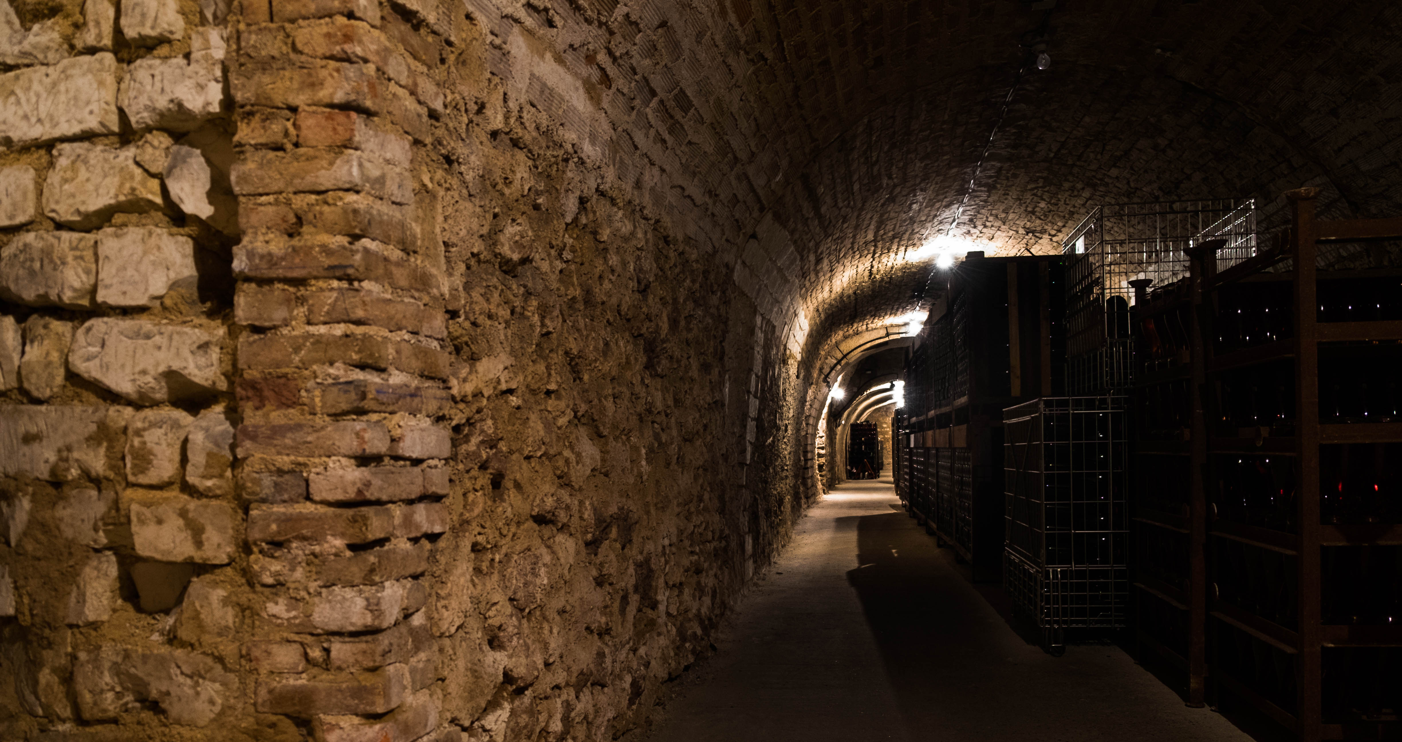 Vin | Champagne | Vinglas | Catching Wines | Danmark