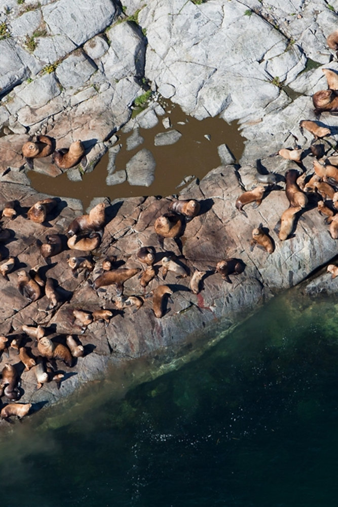 Steps to Running a First Nations Business