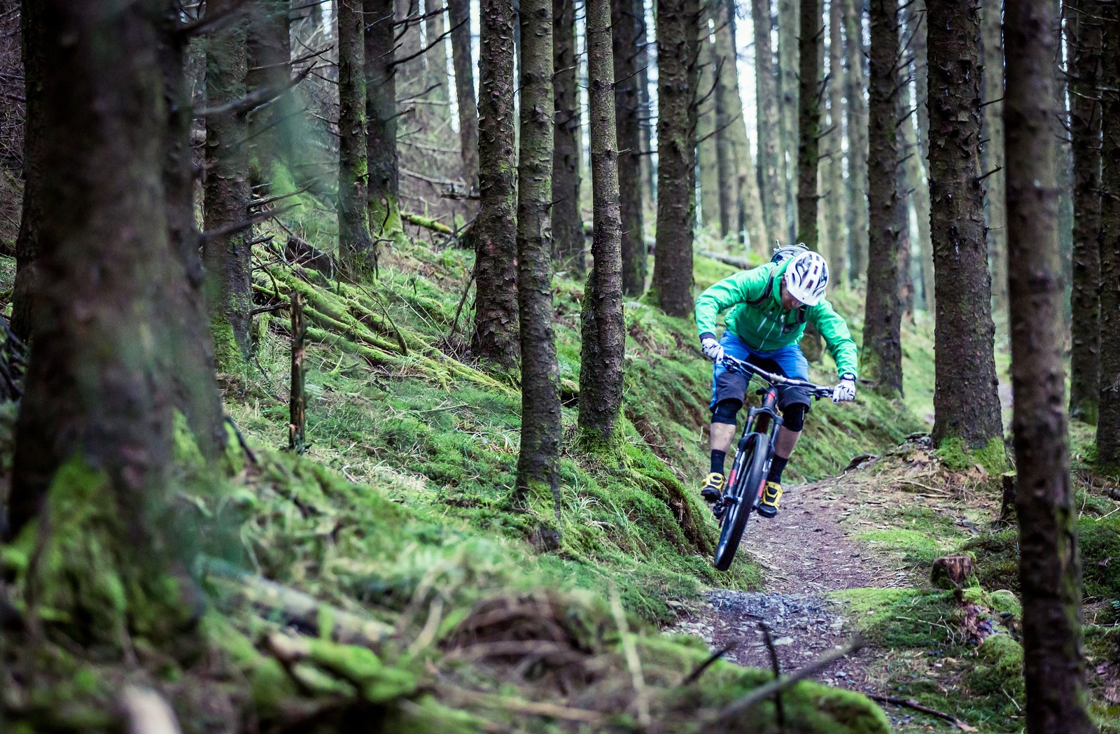Mountain Bike Wales | MTB Wales | Mountain Bike Guide