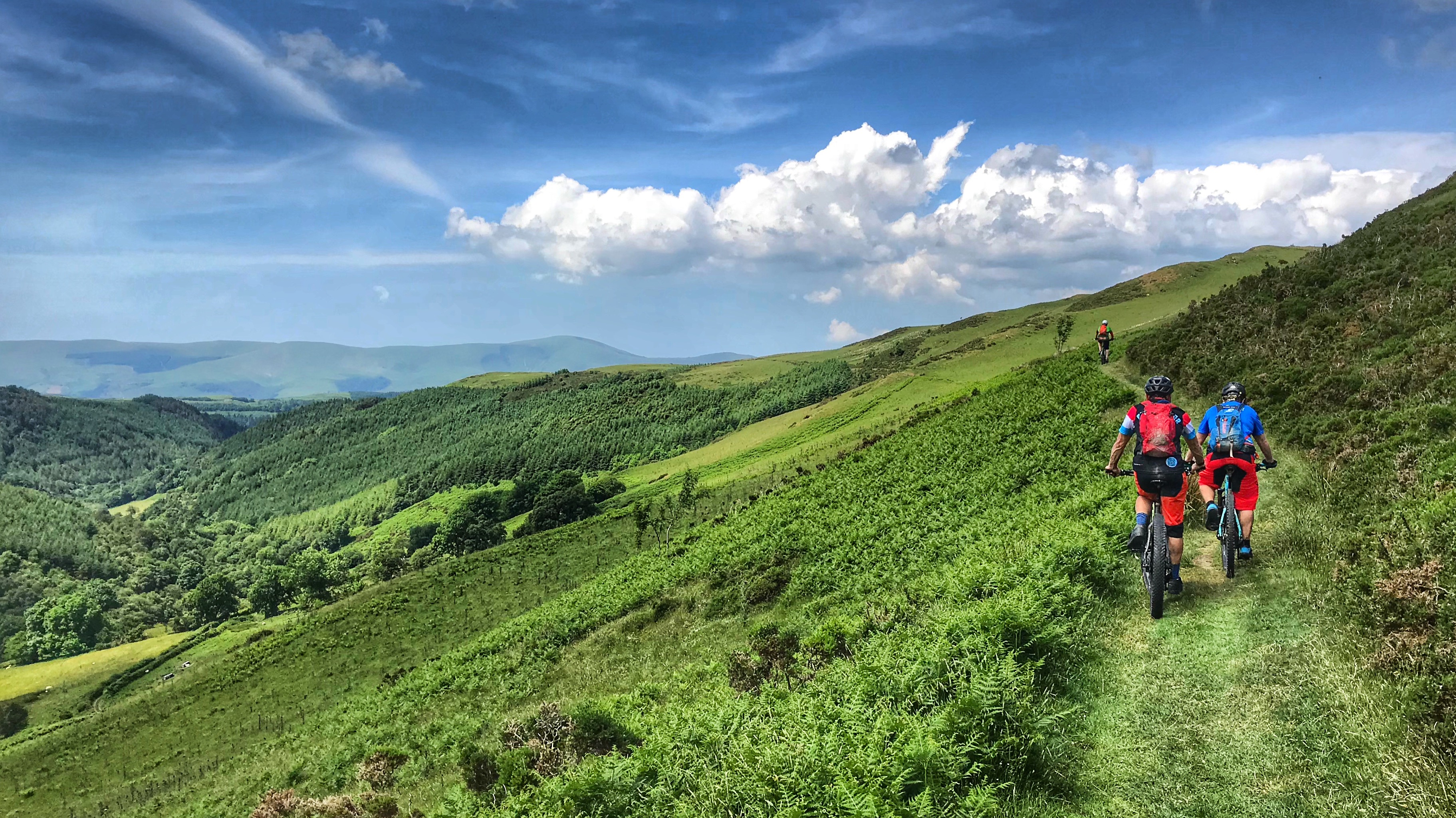 Mountain Bike Wales | MTB Wales | Mountain Bike Guide