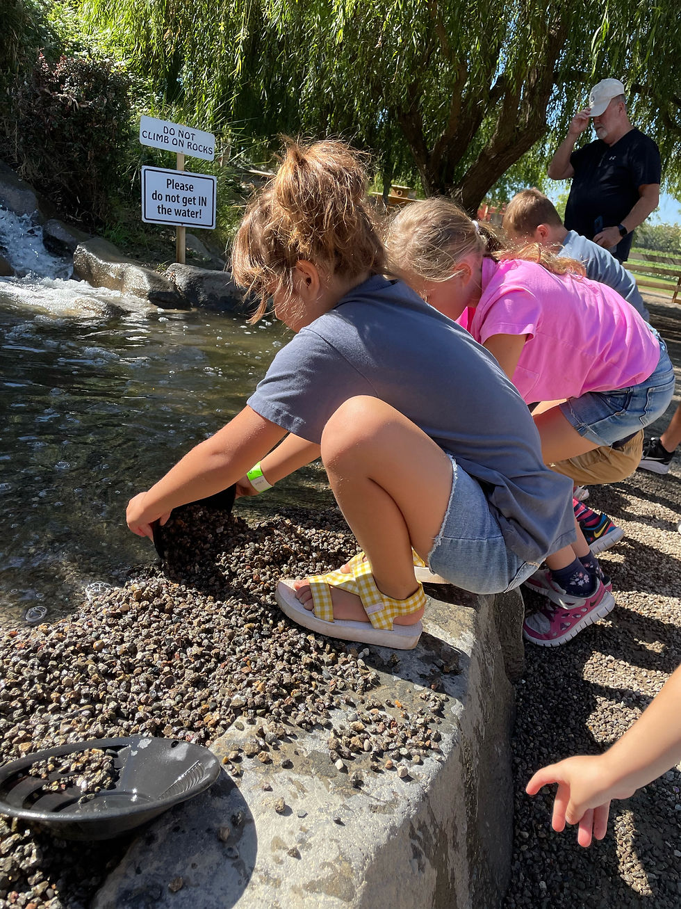 NorCal’s Best Patch