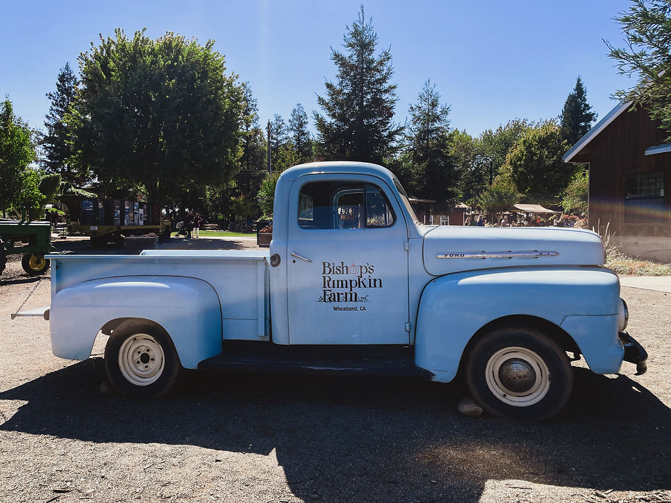 NorCal’s Best Patch