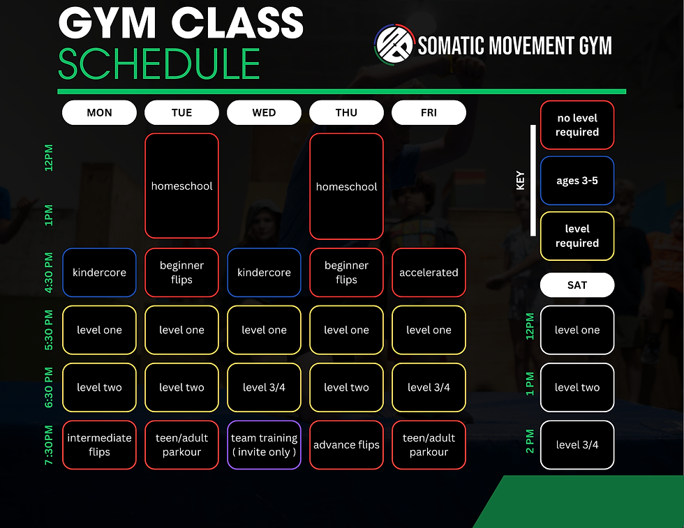 Updated Class Schedule at Somatic Movement Gym
