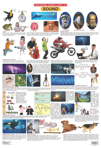 Sound, Educational Laminated Wall Chart | ChanochConcepts