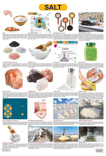 Salt, Educational Laminated Wall Chart | ChanochConcepts