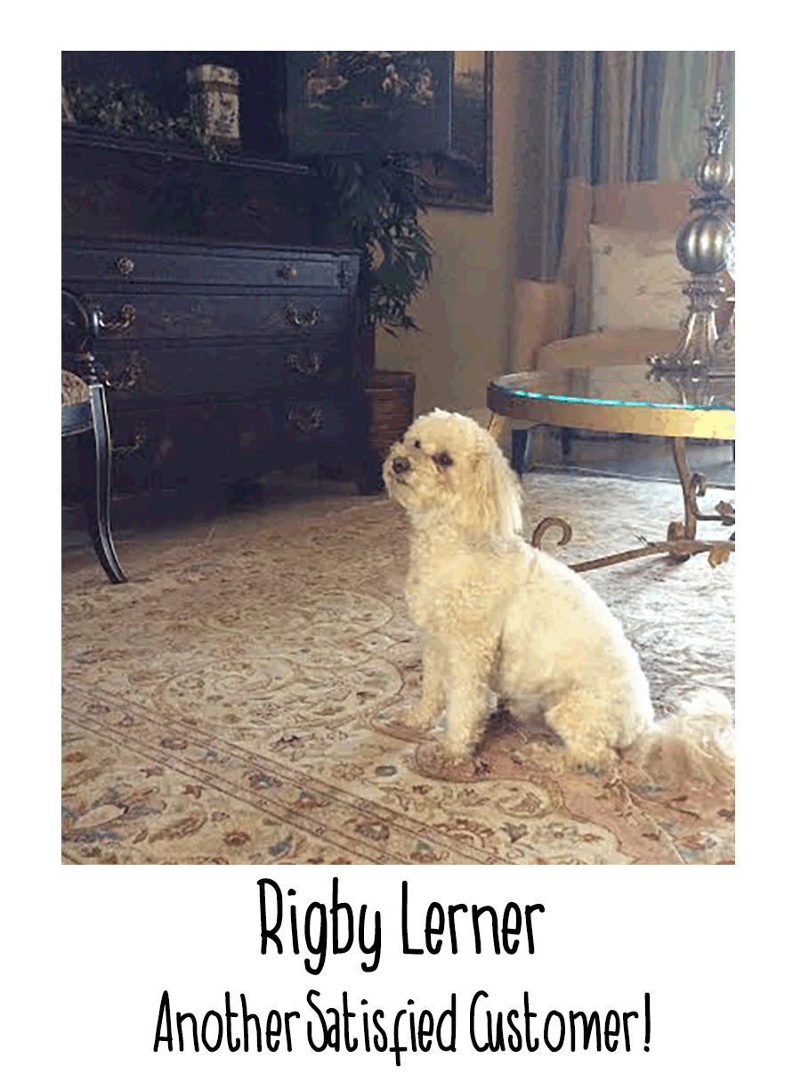 Customer Testimonials | Naples Rug Spa Reviews & Feedback