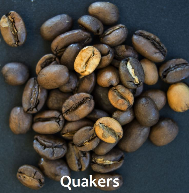 The Dry Process - An Introduction to Natural Coffees