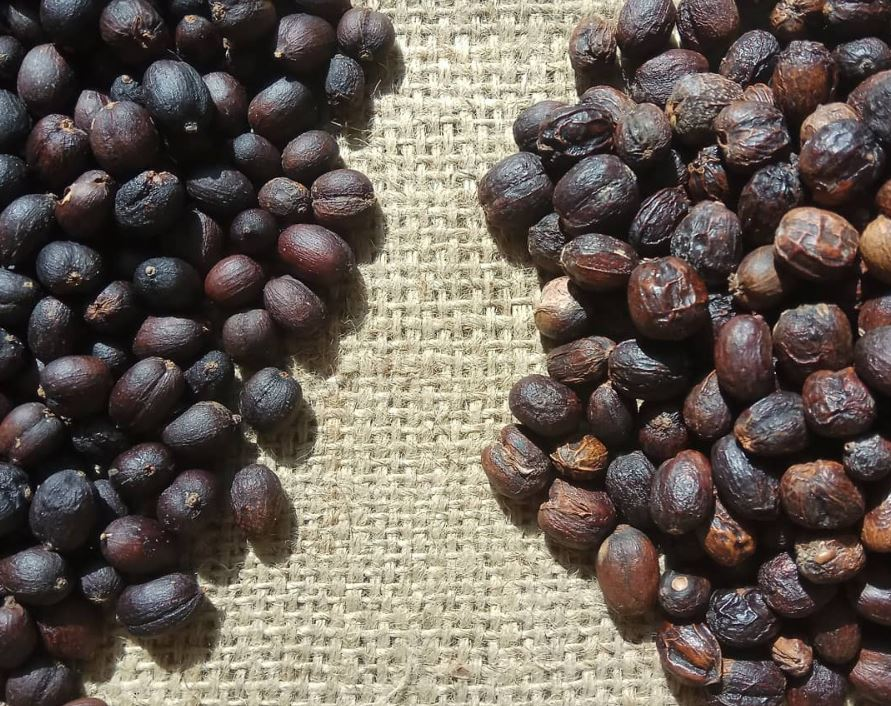 The Dry Process - An Introduction to Natural Coffees