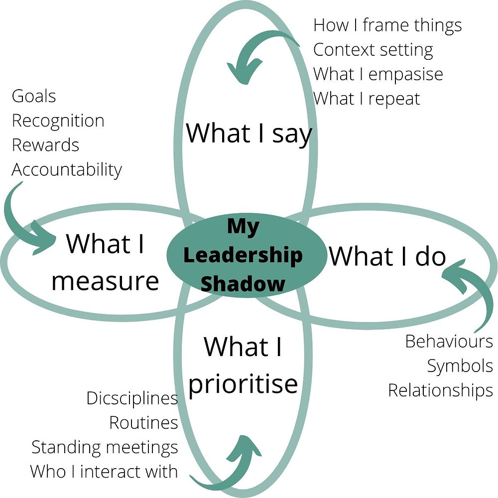 Self coaching tools #1: The Leadership Shadow