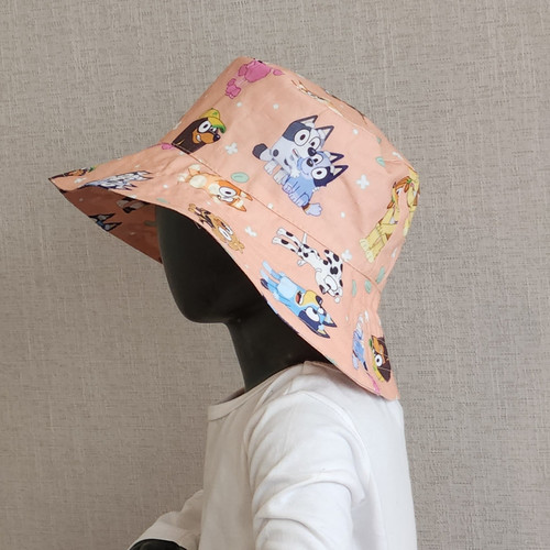 Bluey and Friends Bucket Hat with Green Lining | Two Cotton Socks