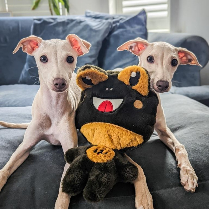 WufWuf - Wufrog Ball 2-in-1 Fun - Interactive Plush Fetching Dog Toy ...