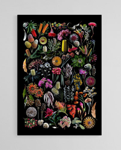 Wildflowers of Australia - Colourful floral wall art - Photography ...