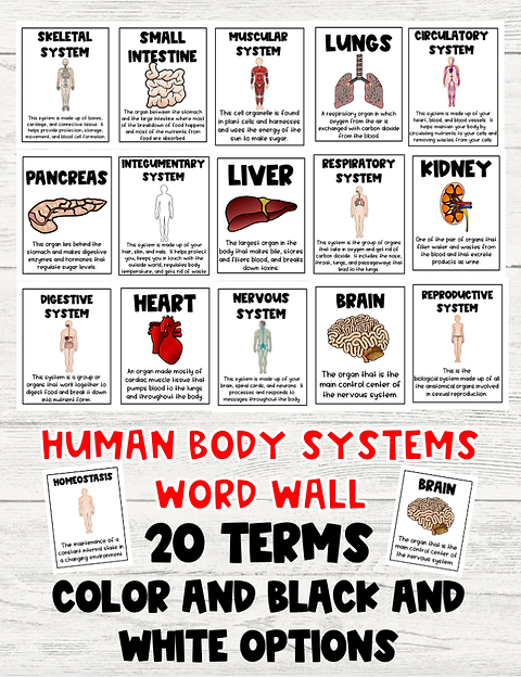 Body Systems Vocabulary Words