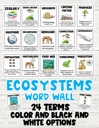 Ecosystems Word Wall: Color and Black and White Versions ...
