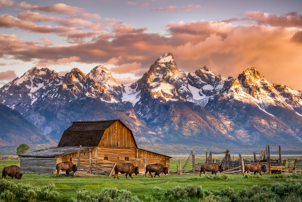 Gallery | Denver | Joseph Roybal Photography