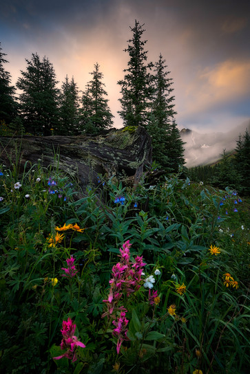 Gallery | Denver | Joseph Roybal Photography