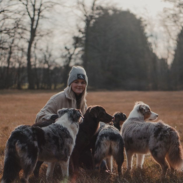 Naskapi Aussies - Australian Shepherd Zucht in Storkow