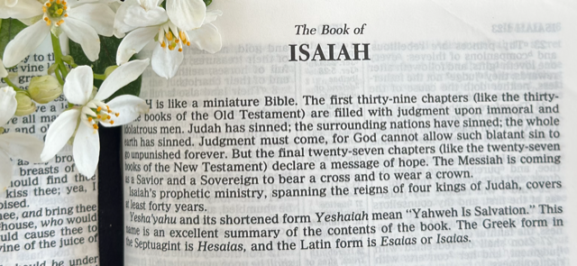 Walking Towards Easter - The New Call | Avonhead Baptist