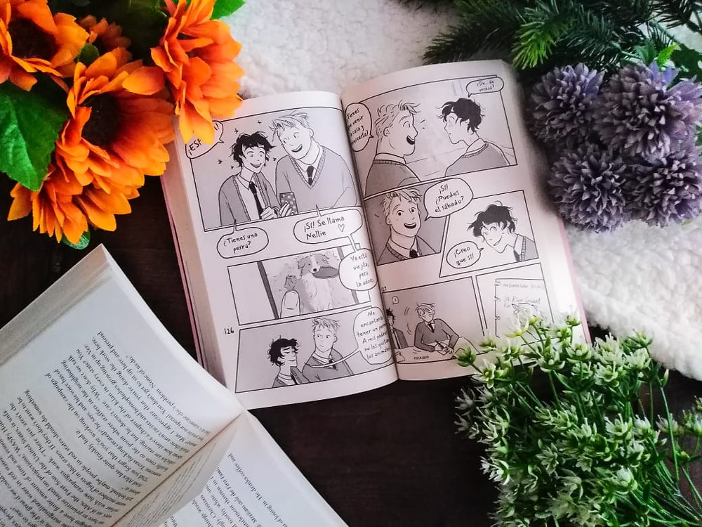 Heartstopper Volume 1