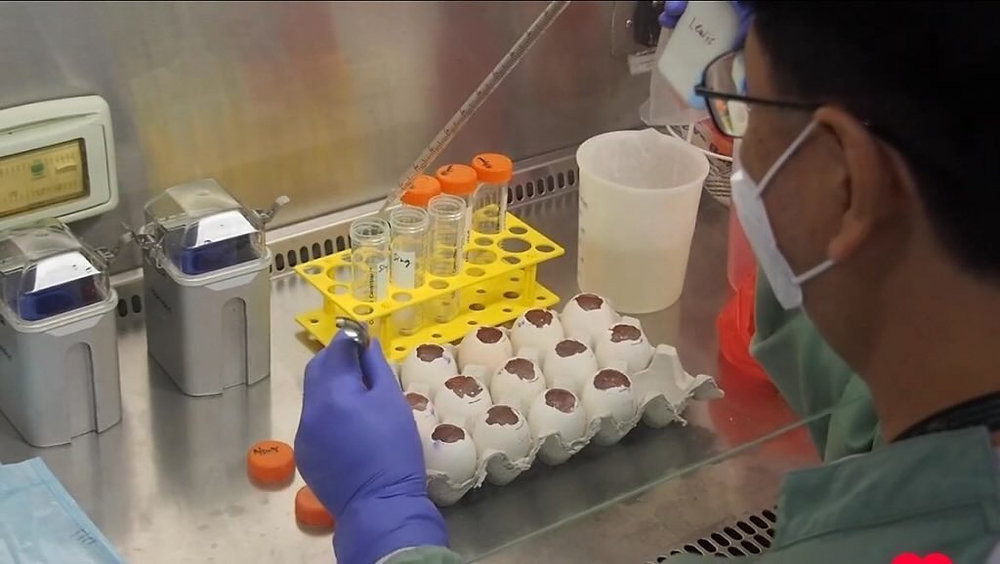 [Job Opening] Research Assistant Professor