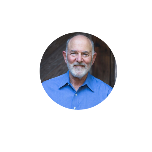 Microdosing: Integration Coaches