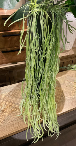 HANGING GRASS | manor-house-malta