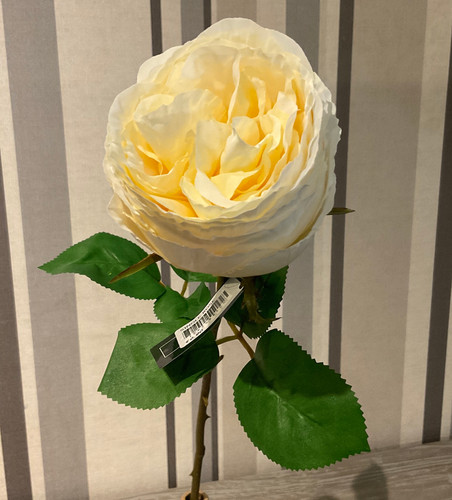 SINGLE ROSE CREAM | manor-house-malta