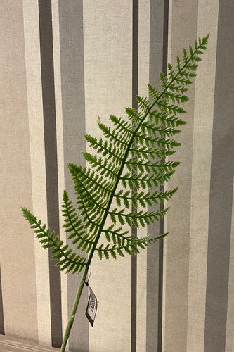 SINGLE FERN GREEN | manor-house-malta