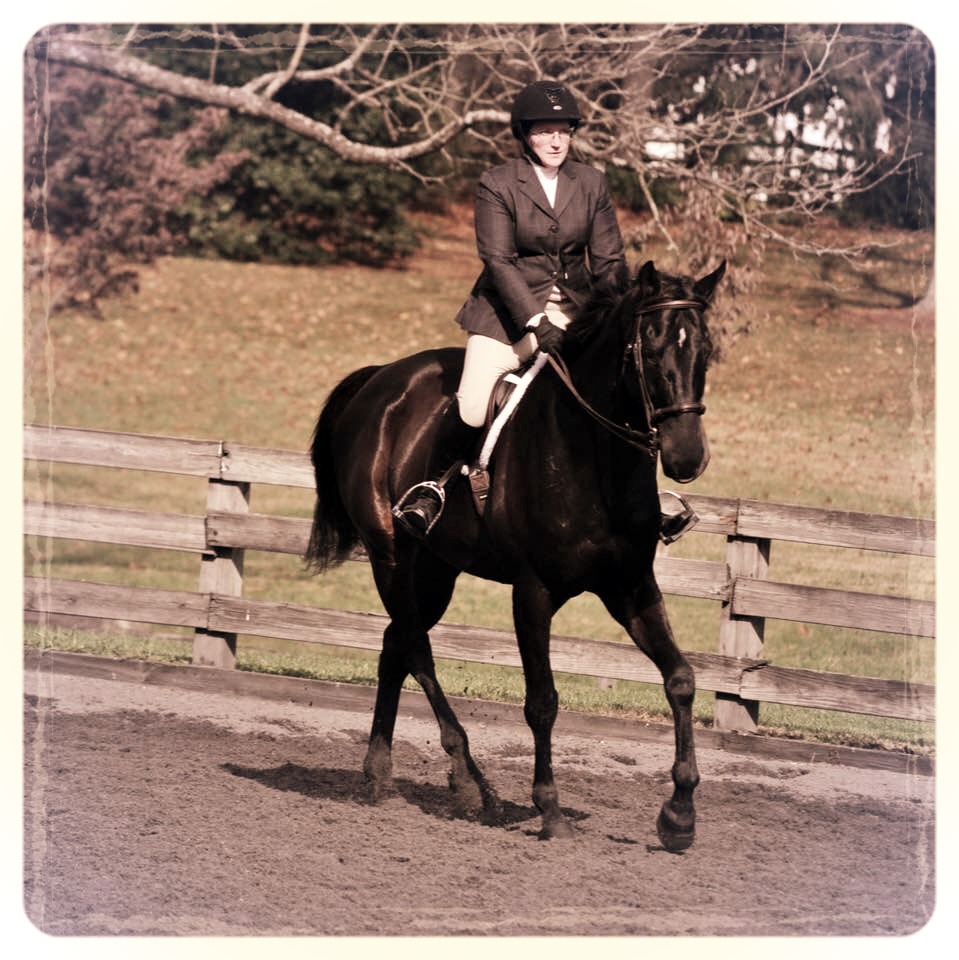 Spring Haven Show Stables - Tasha Plunket