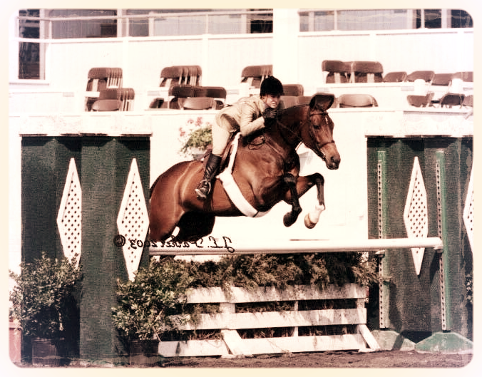 Spring Haven Show Stables - Tasha Plunket