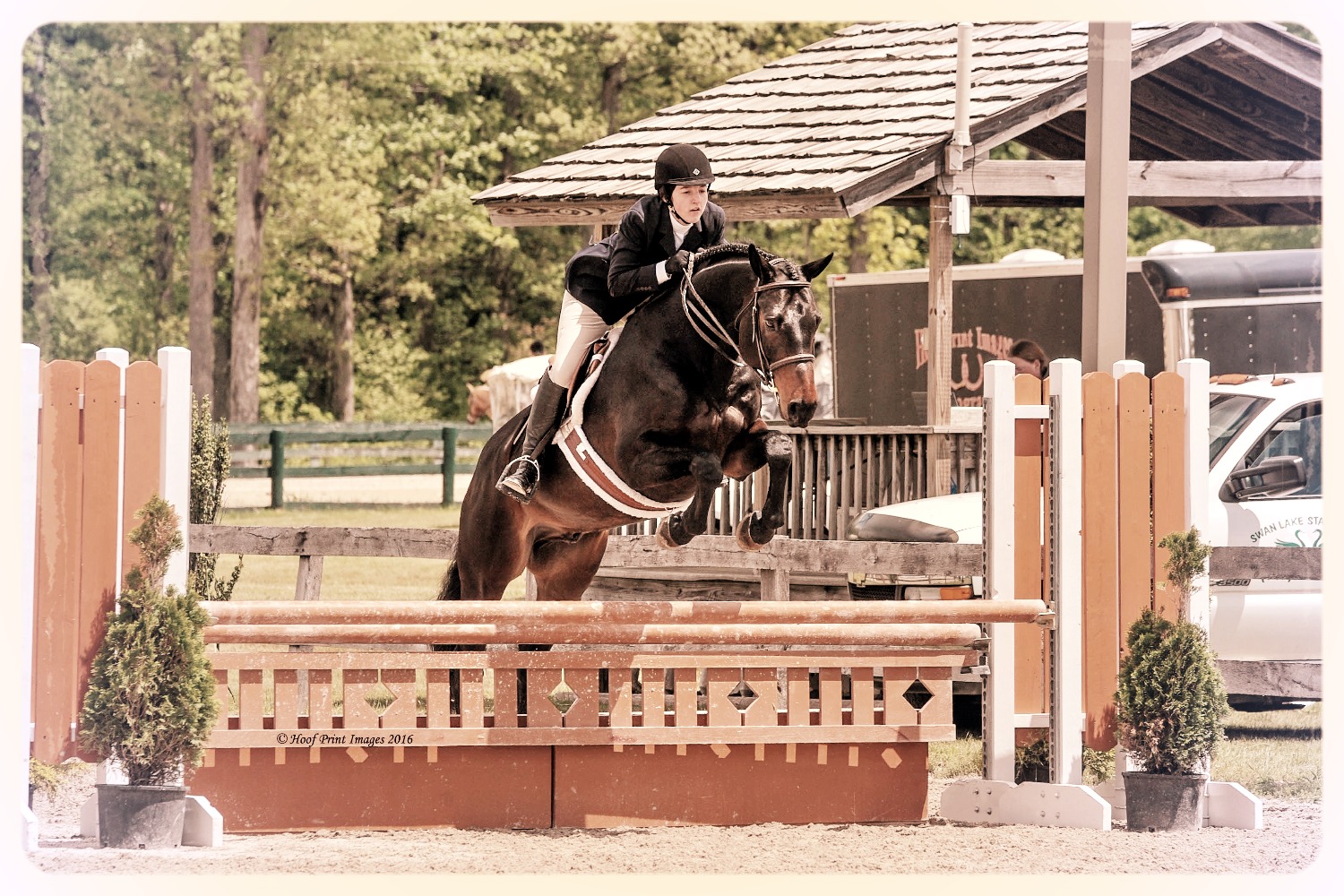 Spring Haven Show Stables - Tasha Plunket