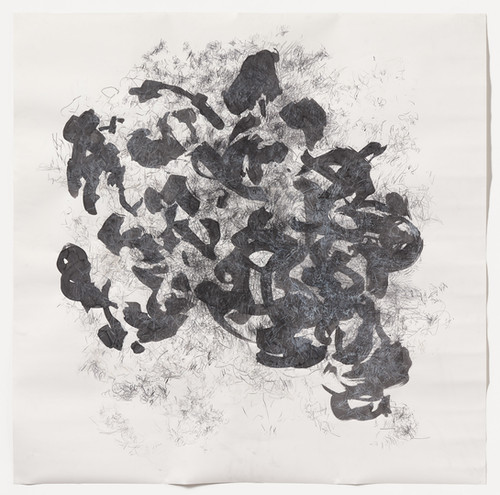 Mapping Extinction II / Linda Knight | humanimpactsinstitute