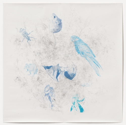 Mapping Extinction I / Linda Knight | humanimpactsinstitute