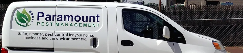 Home Paramount Pest Control Reviews | Pest Control