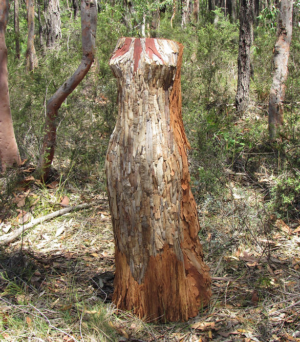 Figurative Sculpture | Maria Markovich | Philadelphia