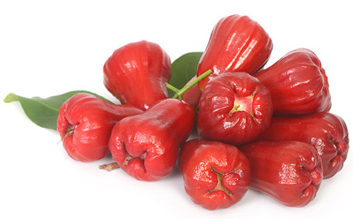 Chompoo Rose Apple | Siam Fresh Market