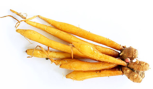 Finger root/Rhizome | Siam Fresh Market
