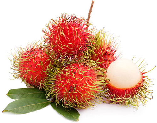 Rambutan | Siam Fresh Market