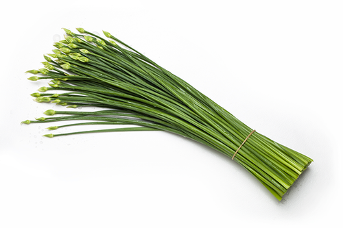Chinese Chive Flower | Siam Fresh Market