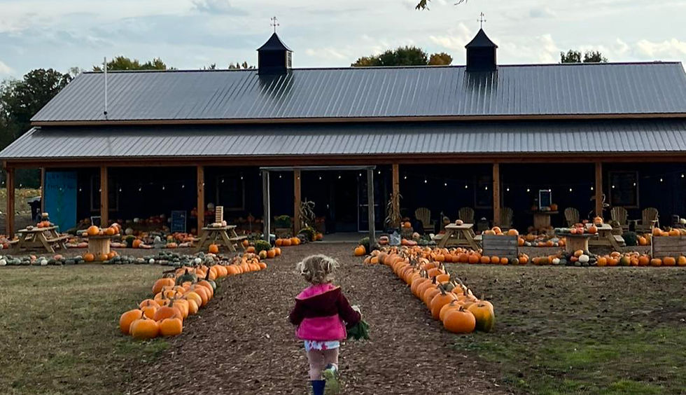 Farm Market In Caledonia, MI | Fall Fun At Deep Roots Produce