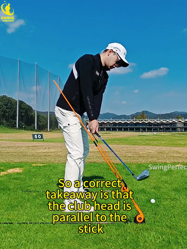 All in One Golf Swing Plane Rails Trainer | SwingPerfectgolf