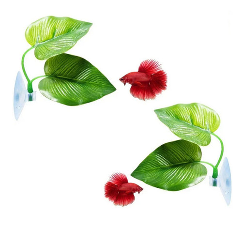 Catastrophe Hamaca para Pez Betta (Chupon + Doble Hoja) | CATASTROPHE