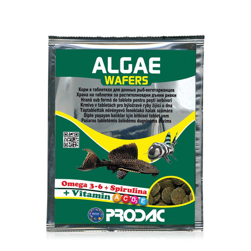 Prodac Algae Wafers Sachet 15 gr | CATASTROPHE
