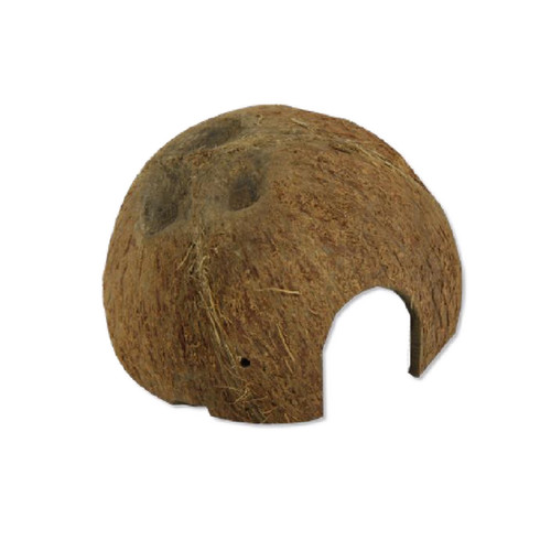 JBL Coco Cava 1/2 | CATASTROPHE