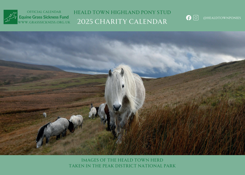 2025 Charity Calendar | heald-town-highlands