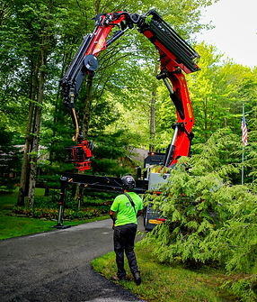 Services | JThomasTreeService