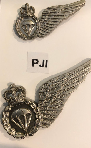 PJI Replica Set, 1 x large & 1 x small bright silver (current colour ...