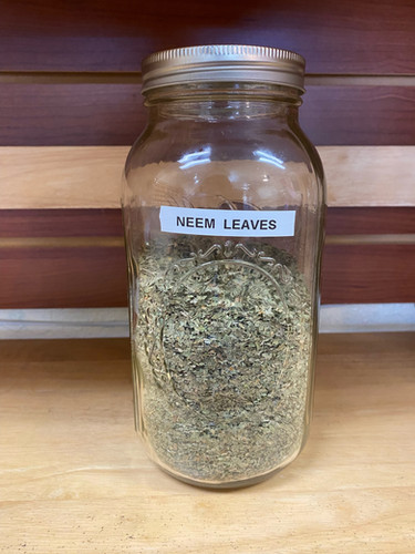 Neem Leaf | SACRED STONEZ