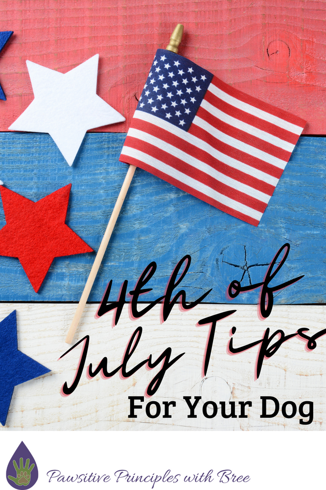 4th of July Tips